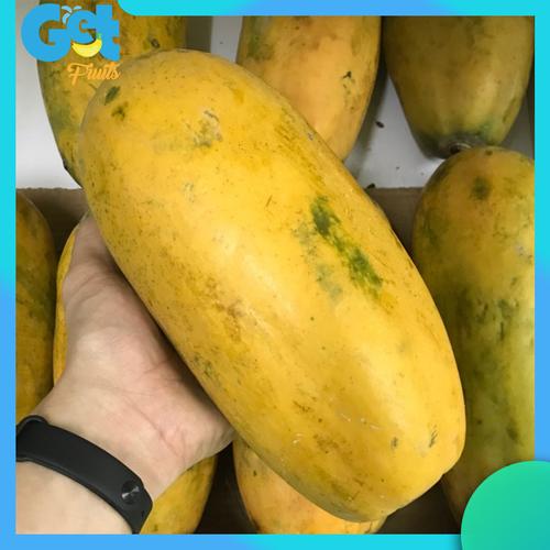 Jual BUAH PEPAYA CALIFORNIA MANIS - PCS - Jakarta Utara - GetFruits ...