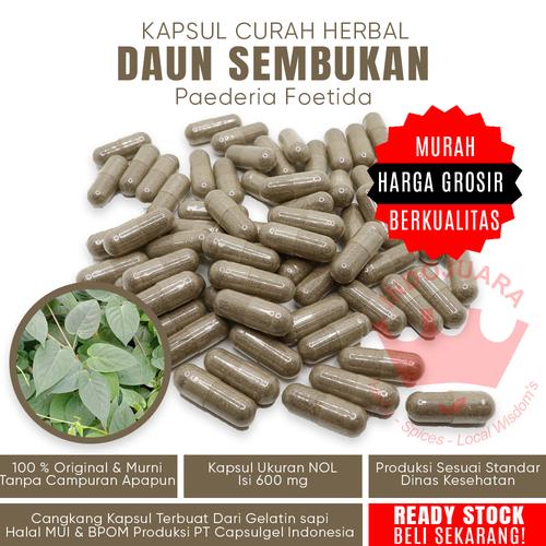 Jual DAUN SEMBUKAN Kapsul Herbal Penambah Sel Darah Putih Gatal Kulit ...