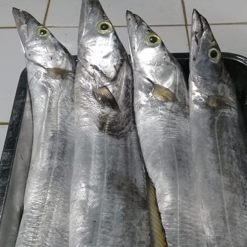 Jual Ikan Layur Besar Segar 1kg - Besar - Jakarta Barat - UDbahari ...