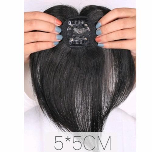 Jual TOU WIG TOUPEE HUMAN HAIR asli penutup botak penambah volume clip ...