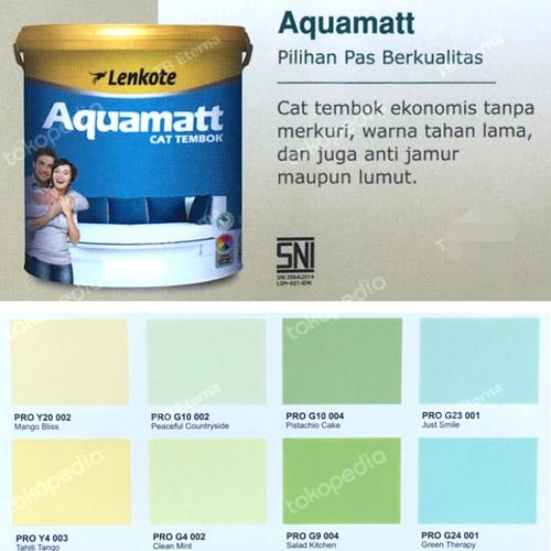 Jual CAT TEMBOK AQUAMATT LENKOTE AVIAN GLN 5KG TINTING KAT 2 - PRO G9 ...