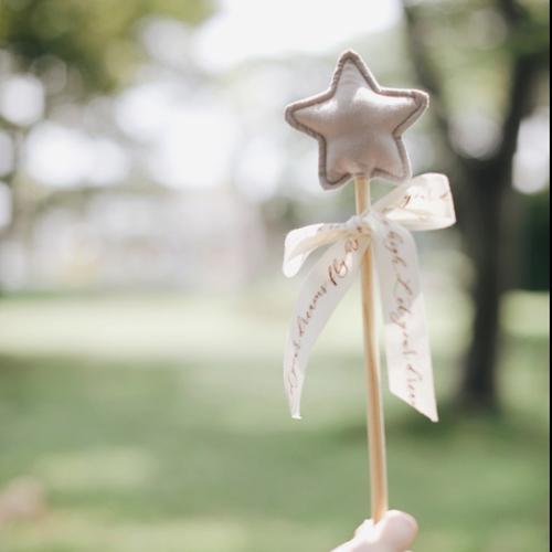 Jual Lettering and Life Magic Wand Tongkat Peri Tongkat Ajaib Anak ...