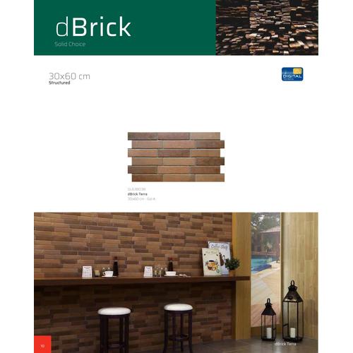 Jual KERAMIK DINDING 30X60 CM ROMAN INTERLOCK DBRICK TERRA GRADE A ...