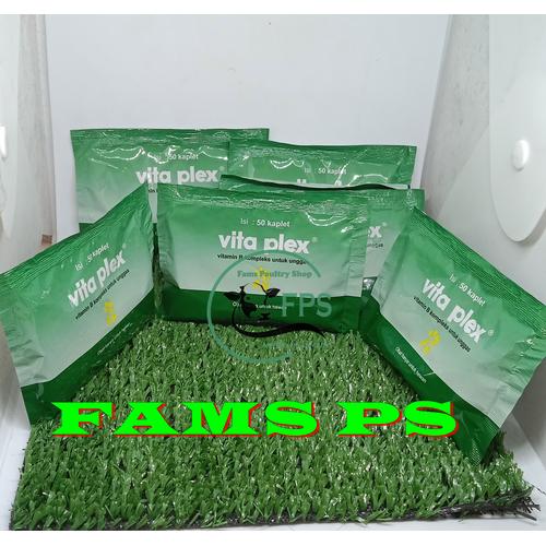 Jual VITA PLEX 50 Kapsul - Vitamin Unggas Ayam Burung Lengkap Vitaplex ...