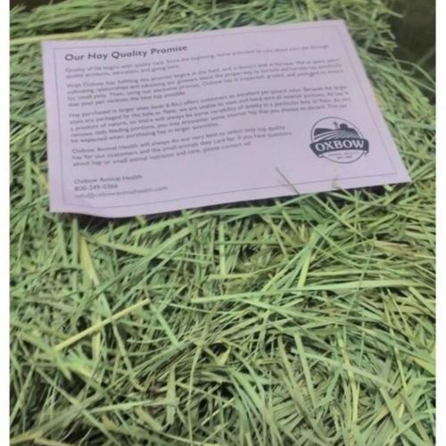 Jual Oxbow Orchard Hay Repack Kemasan 1 Kg, Pakan/Makanan Kelinci ...