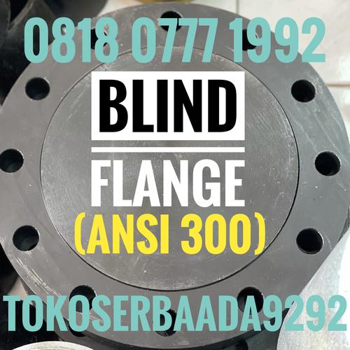 Jual Blind Flange / Flange Buta 6" inch / DN 150 ANSI 300 CS A105 ...