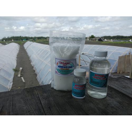 Jual SARI AIR LAUT/ SARI AIR GARAM/ AIR BITTERN PANTAI SELATAN (100 ml ...