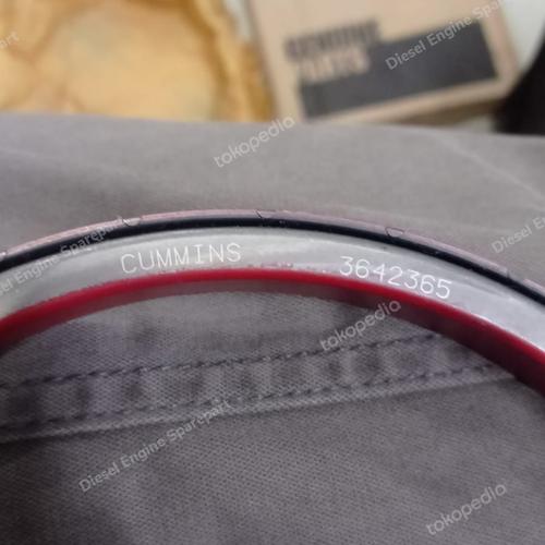 Jual 3642365 seal crankshaft belakang cummins kta 38 kta50 genuine ...