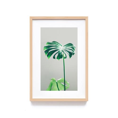 Jual Poster Tropical Frame Kayu Hiasan Dinding Gambar Daun Wall Decor ...