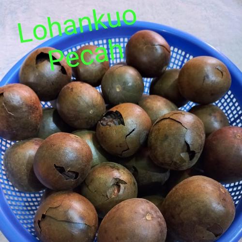 Jual Buah Lo Han Kuo yang Pecah Ukuran Sedang ( Perbiji ) - Jakarta Utara - Dunia Herbal Jaya ...