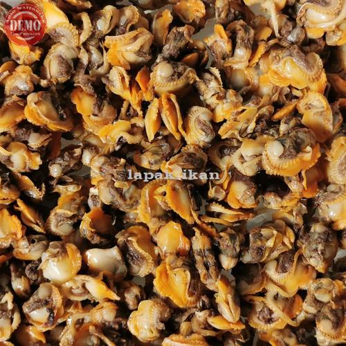 Jual Kerang Dara Kupas Segar Fresh Dan Bergaransi - 500 gram - Jakarta ...
