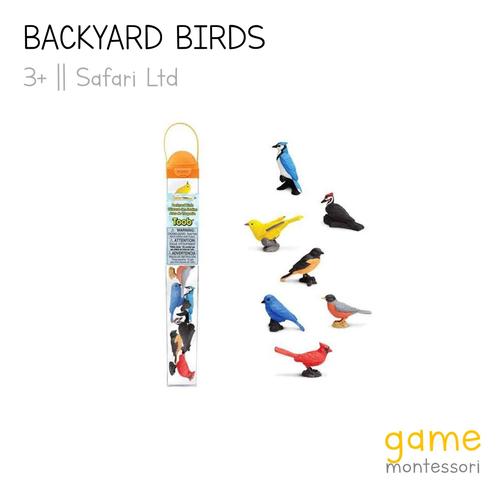 Jual Safari Ltd Toobs Backyard Birds - Toobs + Card - Kab. Tangerang ...