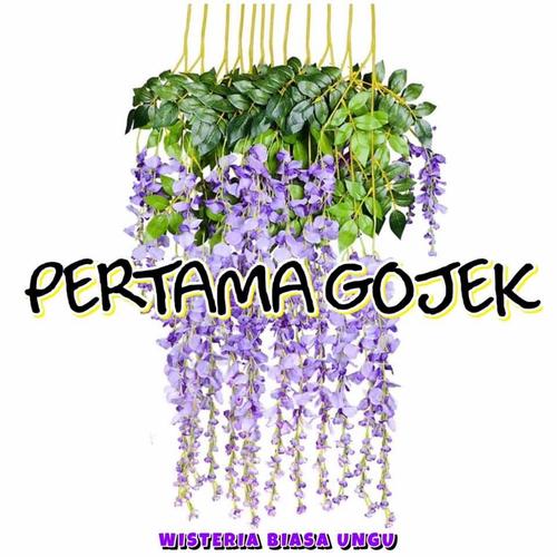 Jual Bunga Plastik/Rumput Plastik/Daun Rambat/Oasis/Busa Bunga/Wisteria ...