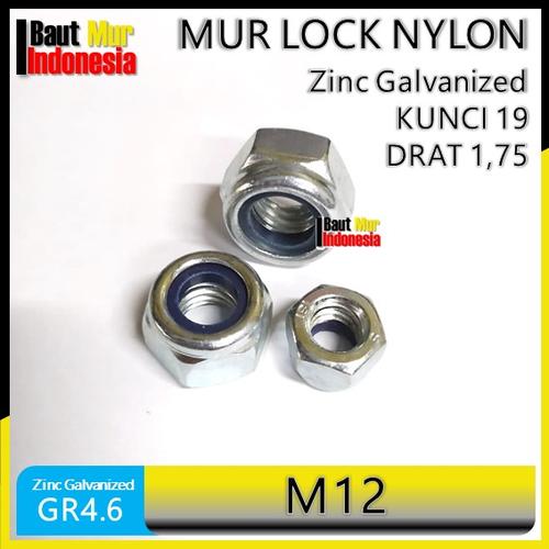 Jual LOCK NUT MUR LOCK NYLON ZINC GALVANIS PUTIH M12 ISI 10PCS - Kab ...