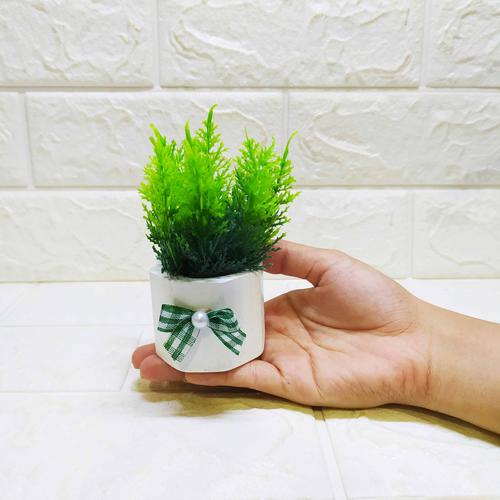 Jual CEMARA POT PELURU Pajangan Rak Dinding Cantik Murah Dekorasi Rumah ...