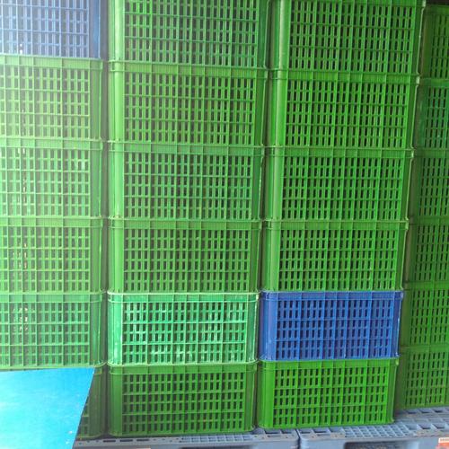 Jual box countener tipe jaring hijau rabbit - Kab. Bekasi - Lisa Jaya ...