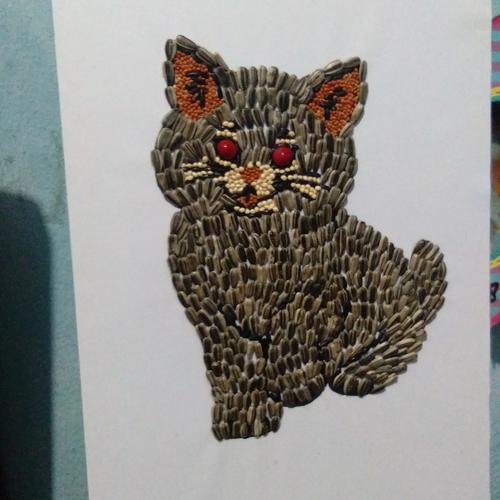 Jual Kolase biji bijian kucing prakarya sekolah special edition - Kota ...