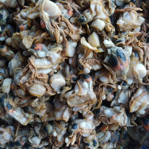 Jual Kerang kampak kupas daging @1kg - Jakarta Utara - sas crew | Tokopedia