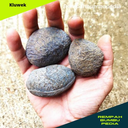 Jual kluwek rawon 1kg - 1/2 kg - Jakarta Selatan - Rempahpedia | Tokopedia