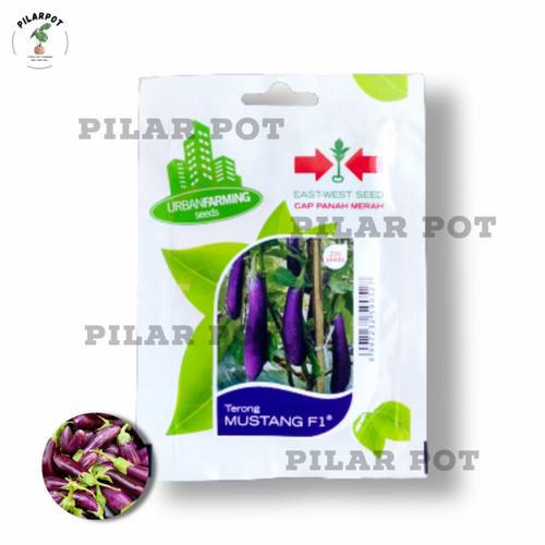 Jual benih bibit terong ungu Mustang f1 cap panah merah - TERONG MUSTANG F1 - Kota Tangerang ...