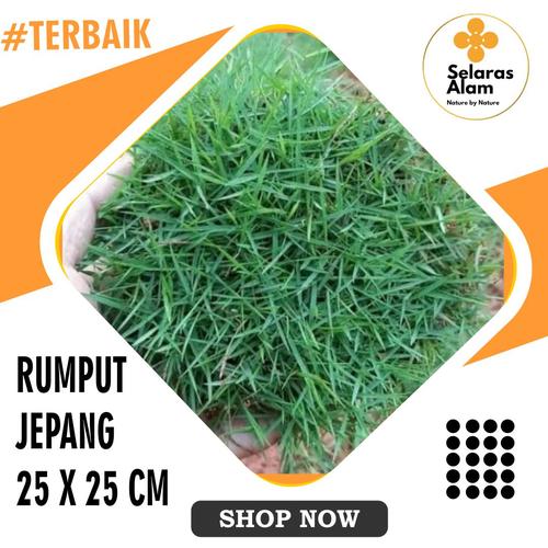 Jual RUMPUT JEPANG 25 X 25 M - Kota Medan - SELARAS ALAM 07 | Tokopedia