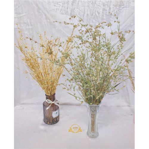 Jual Bunga Kering Rustic Grass (bunga kering dekorasi) Bunga Aesthetic ...