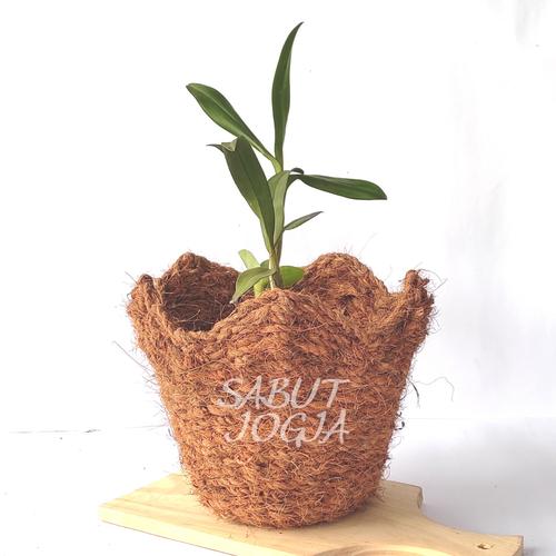 Jual POT ANYAM SKURER STANDAR D20 / POT ANGGREK DUDUK ANYAMAN POLOS ...