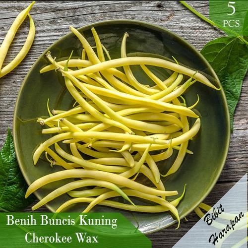 Jual Benih Bibit Biji Sayur Buncis Kuning Cherokee Wax Benih Sayuran ...