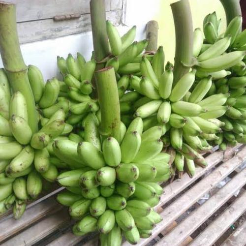 Jual pisang emas 1 tandan - Jakarta Timur - mandalawangiStore | Tokopedia