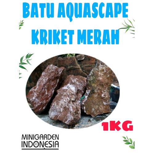 Jual BATU KREKET BATU KRIKET BLACK SEIRYU DEKORASI AQUASCAPE AQUARIUM ...