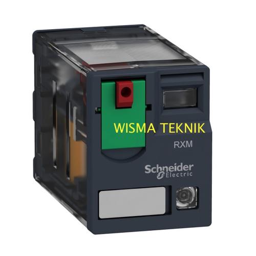 Jual RELAY 14 PIN 24 VDC WITH LED SCHNEIDER RXM4AB2BD - Jakarta Timur - Wisma Teknik | Tokopedia