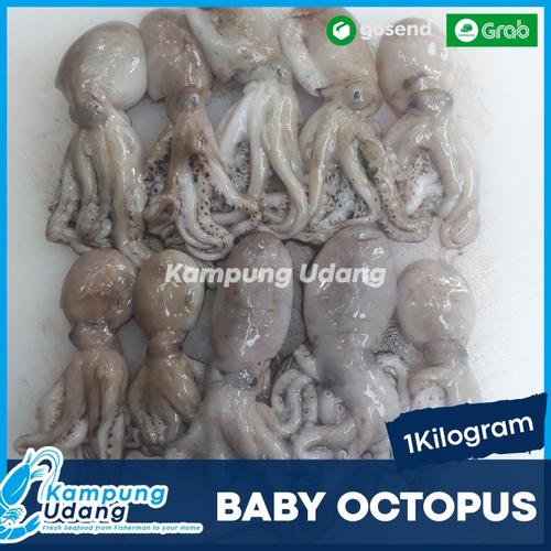 Jual PROMO Baby Octopus 1kg / Baby Gurita Beku / Baby Octopus Frozen ...