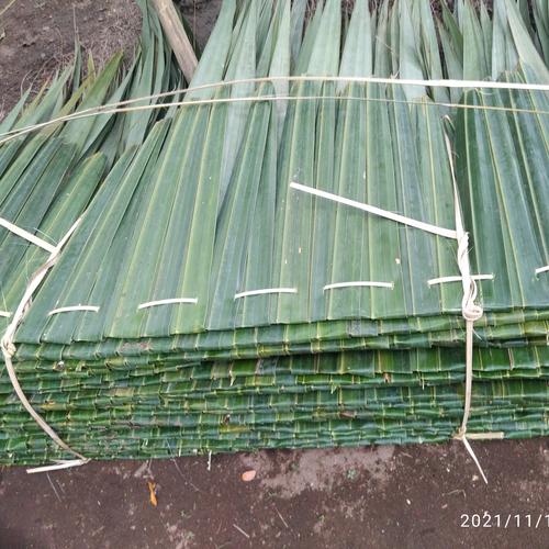 Jual atap dahon atap daun rumbia 10 pcs - Kab. Pangandaran - Lagoona ...