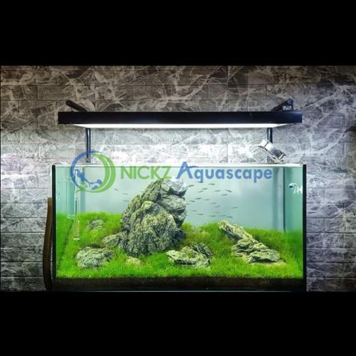 Jual NICKZ AQUASCAPE DEKORASI TEMA IWAGUMI TANK 100 AQUASCAPE - Kota Tangerang Selatan ...