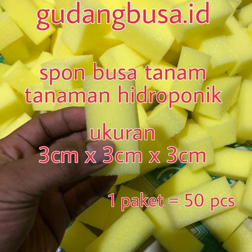 Jual spon busa tanam tanaman hidroponik ukuran 3cm x 3cm x 3cm isi 50 ...
