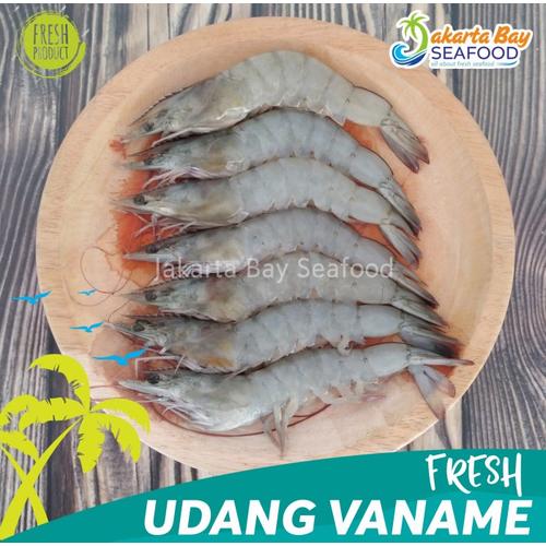 Jual Udang Segar Vaname/ Vannamei Jumbo Besar / Fresh 1 kg isi 30-35 ...