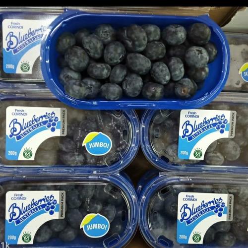 Jual Blueberry Australia Super Jumbo 1 box 12 pack/ 200 gr - Jakarta ...
