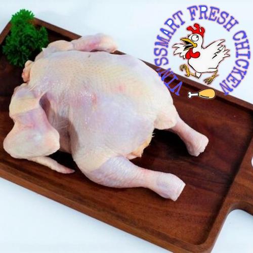 Jual Ayam TG utuh 1 ekor 500gr / khusus Bandung - Kota Bandung - Vin ...