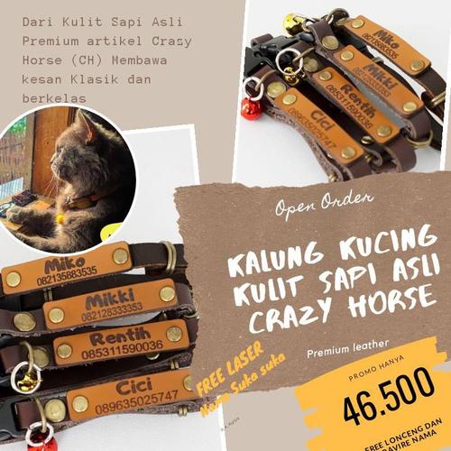 Jual Kalung Kucing Kulit Custom Nama Desain Name Tag - Jakarta Utara ...