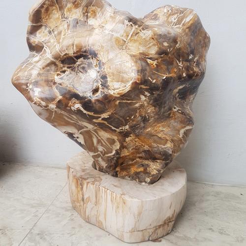 Jual Petrified Wood - Fosil Kayu - Kota Tangerang Selatan - langit K7 ...