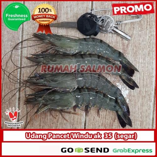 Jual Udang Black Tiger Pancet/Udang Windu/Udang Tiger size 35 - Jakarta ...