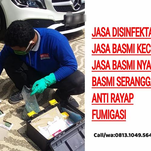 Jual Basmi tikus di rumah, kantor dan Pabrik - Jakarta Selatan - Tukang ...