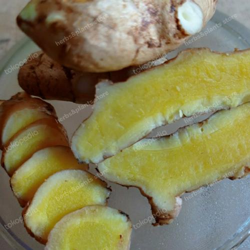 Promo promo temu mangga 1 kg segar - Jakarta Selatan - herbs&plants ...