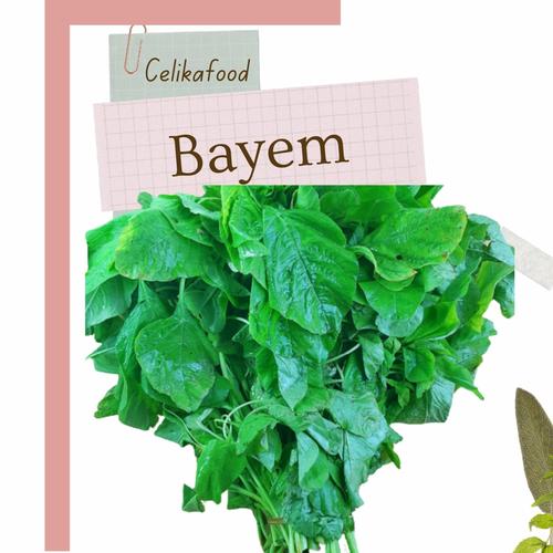 Jual Sayur Bayam 1 Ikat Bayam Sayuran Fresh Segar - Kota Bandung ...
