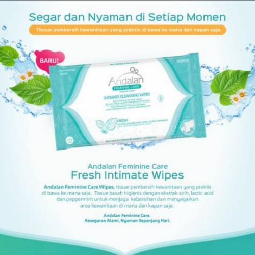 Jual Andalan Feminine Care Intimate Cleansing Wipes Tissue Basah 10 ...