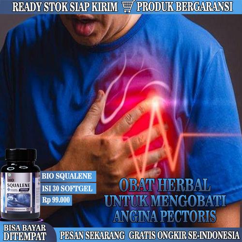 Jual Obat Angina pectoris,Obat Angina Pectoris,Nyeri Dada Karena ...