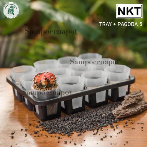 Jual 1 set tray + POT NKT PAGODA 5CM BENING TRANSPARAN | tray semai ...