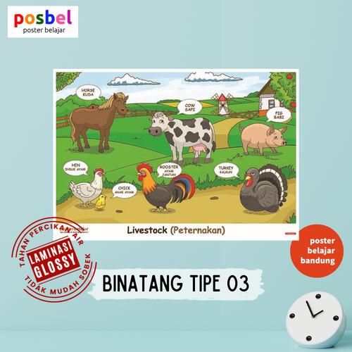 Jual Tipe 03 Poster Seri Binatang Belajar Mengenal Dunia Peternakan ...