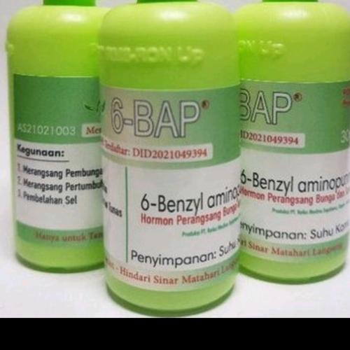 Jual Hormon Tanaman 6 BAP Benzylaminopure penumbuh tunas dan pembungaan ...