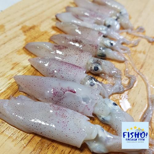 Jual Cumi Baby Beku Segar | Baby Cumi Frozen Premium - 3-5cm per ekor ...